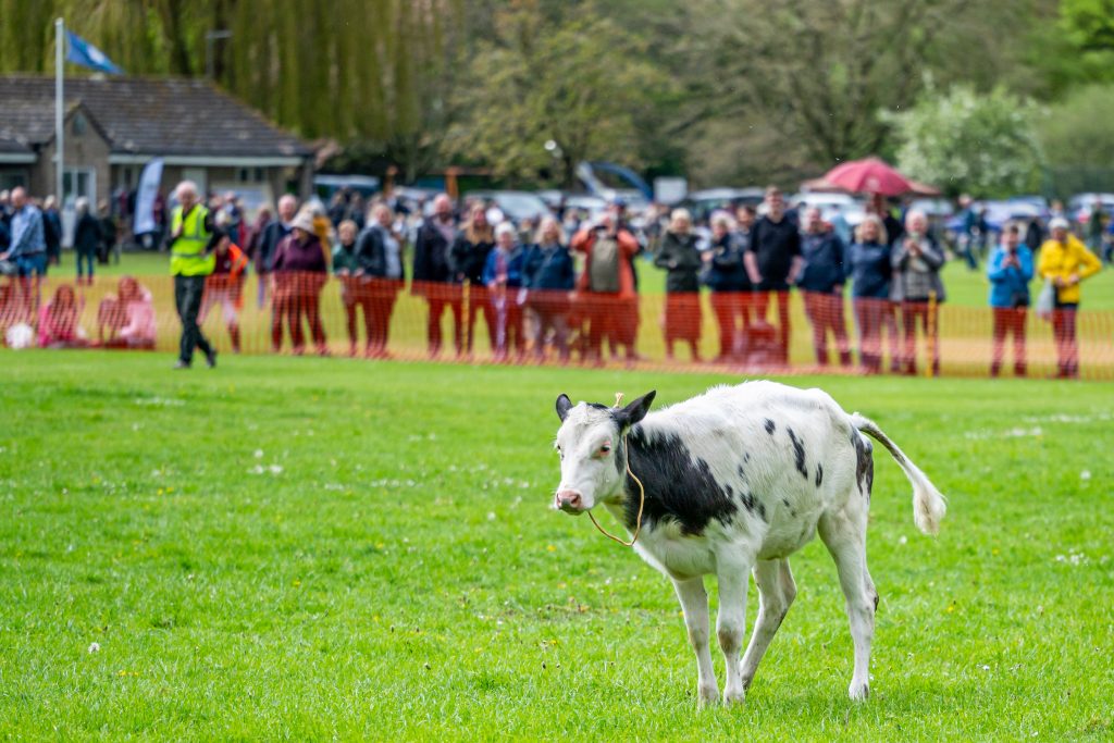 New to Masham? Get the lowdown on what makes Masham tick... - Visit Masham